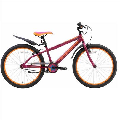 Dečiji bicikl 24 inch za 10+ godina