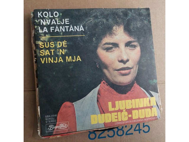 Ljubinka Dudeić - Duda / Kolo nvalje la fantana