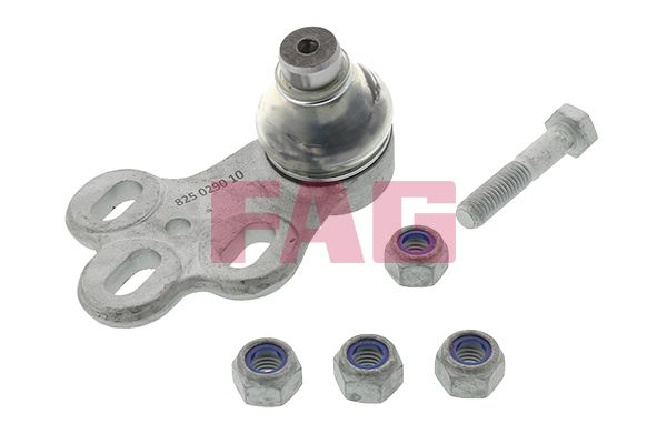 Gornja/donja kugla Schaeffler FAG 825 0290 10