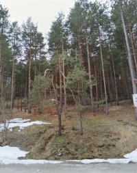 Plac na prodaju Zlatibor-Vodice