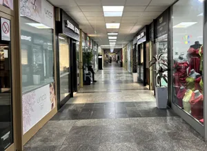 Prodaja Lokal - Niš, Medijana: Čair