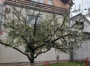 Prodaja Stan - Kragujevac