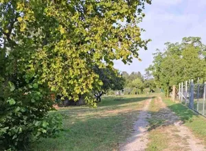 Prodaja Građevinsko zemljište - Bečej