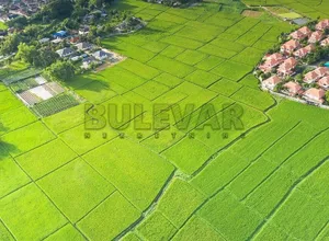 Prodaja Građevinsko zemljište - Niš, Crveni Krst: Popovac