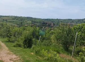 Prodaja Građevinsko zemljište - Beočin