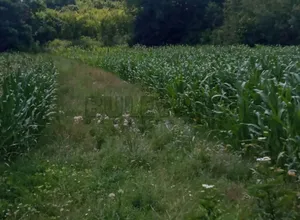Prodaja Građevinsko zemljište - Kragujevac