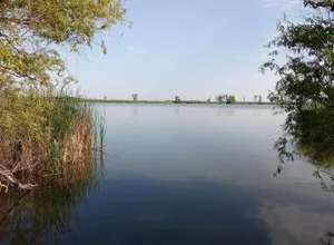 Prodaja Kuća - Žabalj