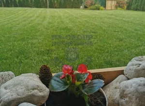 Prodaja Vikendica - Novi Sad, Sremska Kamenica - Tatarsko brdo