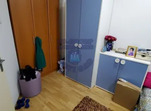 Prodaja Stan - Novi Sad, Socijalno - Rotkvarija