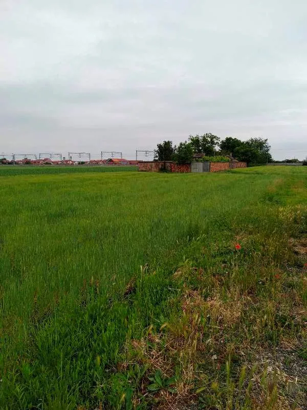 Prodaja, zemljište, 9700m2, Batajnica, Beograd