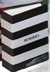 Foto album 10x15cm/100 Memories