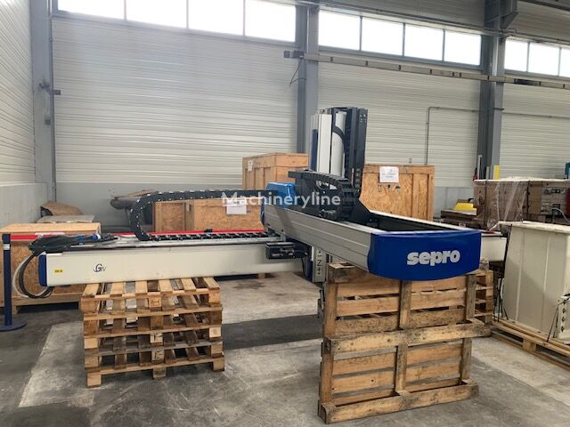 Sepro 4040 S3 industrijski robot