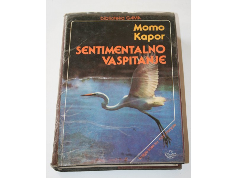 Sentimentalno vaspitanje Momo kapor