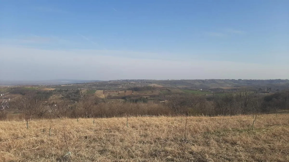 Prodaja, zemljište, 64m2, Sremski Karlovci, Novi Sad