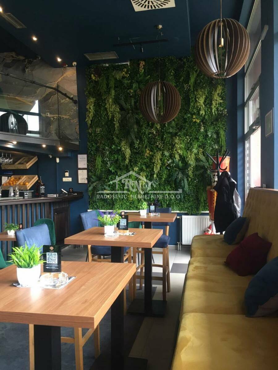 Lokal, Kneza Višeslava, 53, 07m2 ID#1518