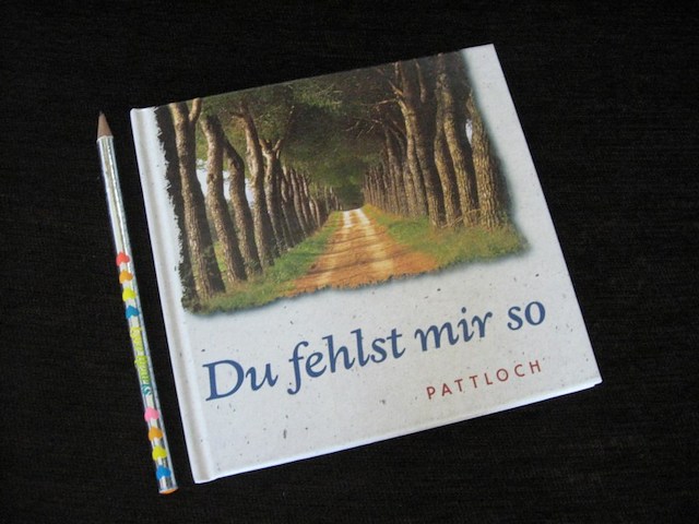 DU FEHLST MIR SO Paul Stroemer