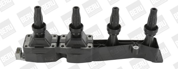 Indukcioni kalem (bobina) BorgWarner (BERU) ZSE045