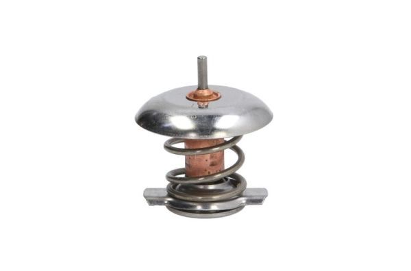 Termostat, rashladna tečnost THERMOTEC D2V001TT
