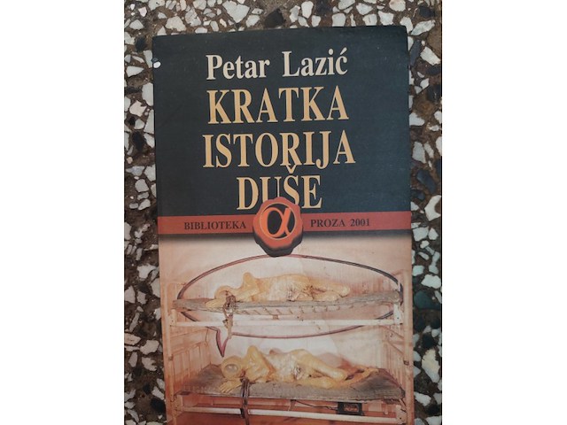 Kratka istorija duse Petar Lazic