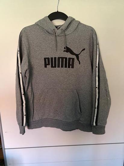 Puma duks