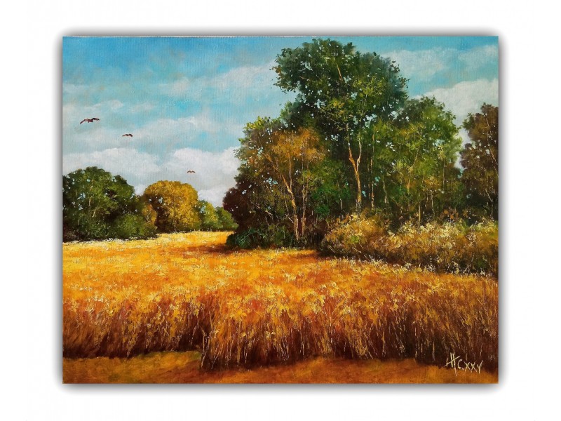 ulje na platnu 50x40cm