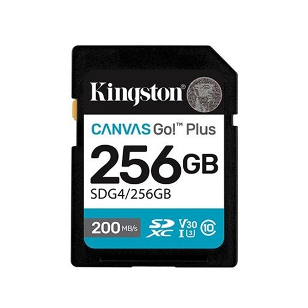 SD kartica SDG4/256GB Kingston 1399196