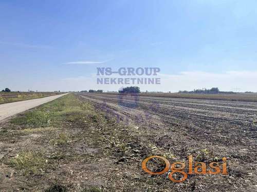 540892-Plac-18606m2-Temerin
