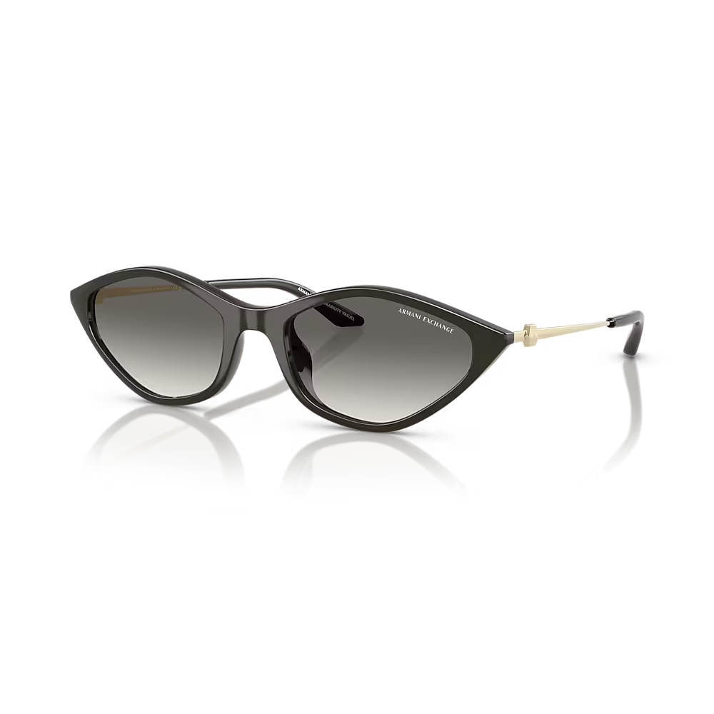 ARMANI EXCHANGE Sunčane naočare 0AX4152SU 836711 55