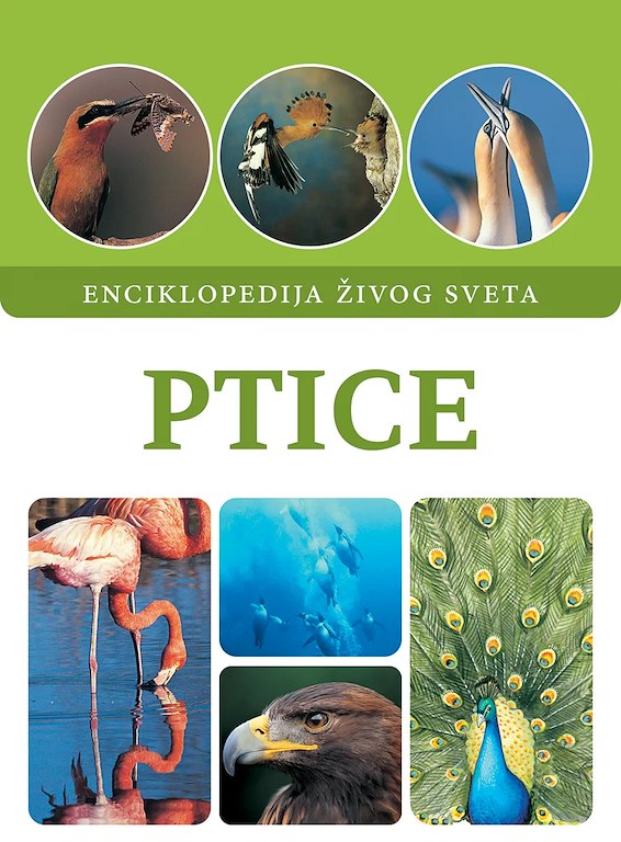 Ptice – Enciklopedija živog sveta