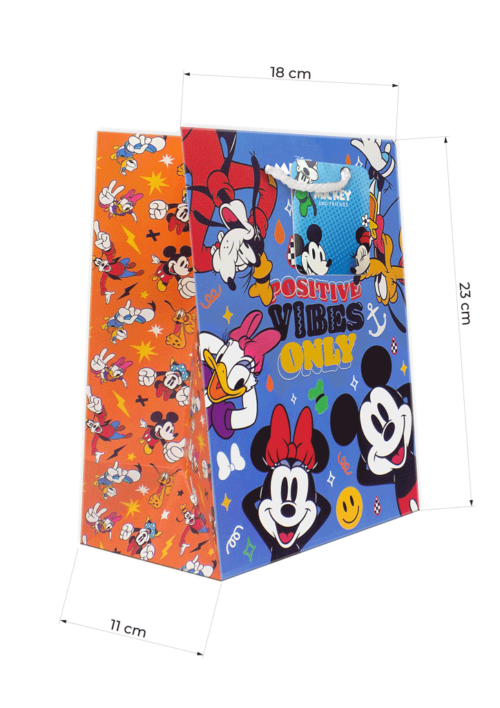 KESA UKRASNA M 18X11X23 MICKEY MINNIE 564041 *SY