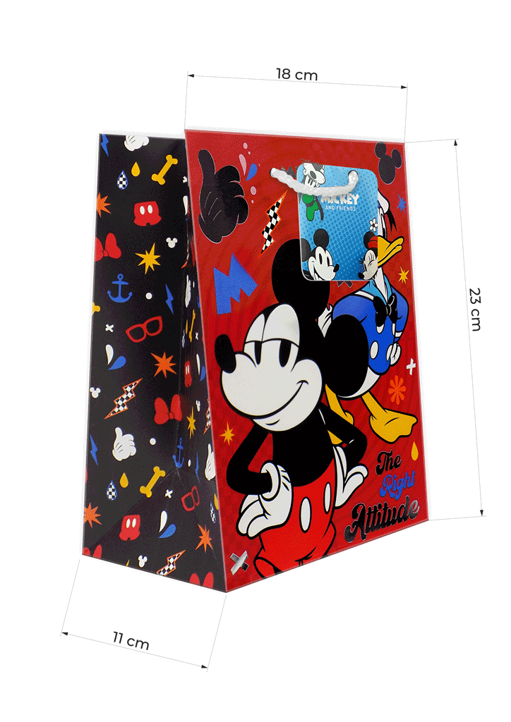 KESA UKRASNA M 18X11X23 MICKEY MINNIE HOLO 564044 *SY