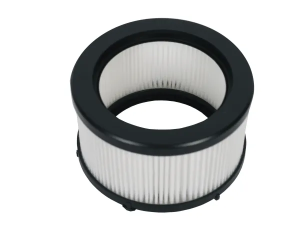 ROWENTA FILTER ZR009012