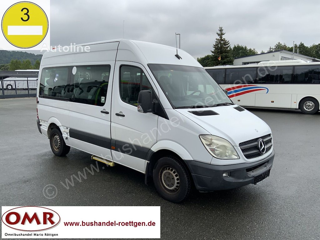 Mercedes-Benz Sprinter 315 CDI putnički minibus
