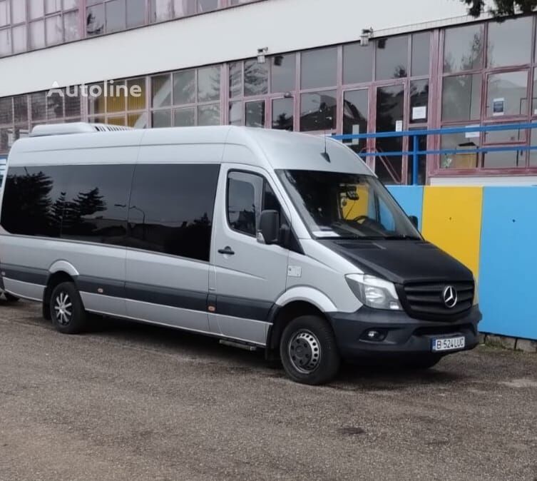 Mercedes-Benz Sprinter 519 putnički minibus