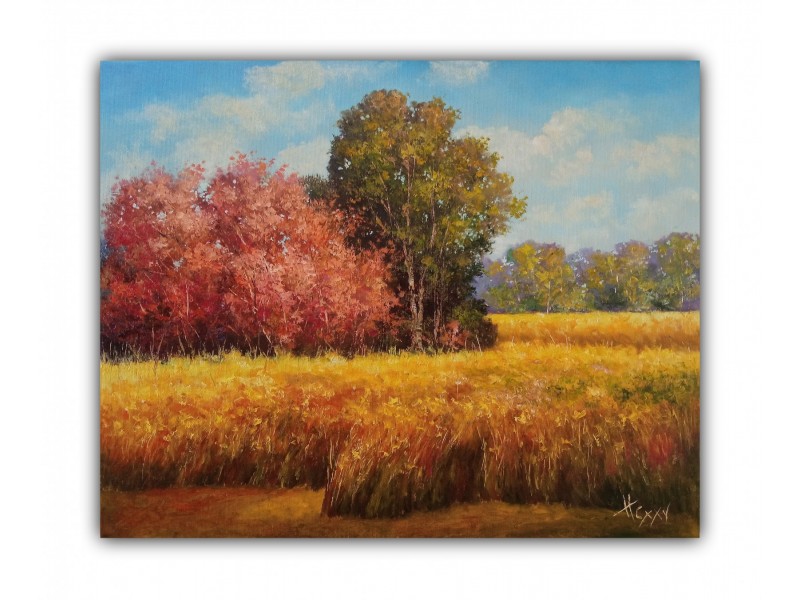 ulje na platnu 50x40cm