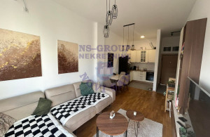 Prodajem Stan-Apartman, Cara Dušana