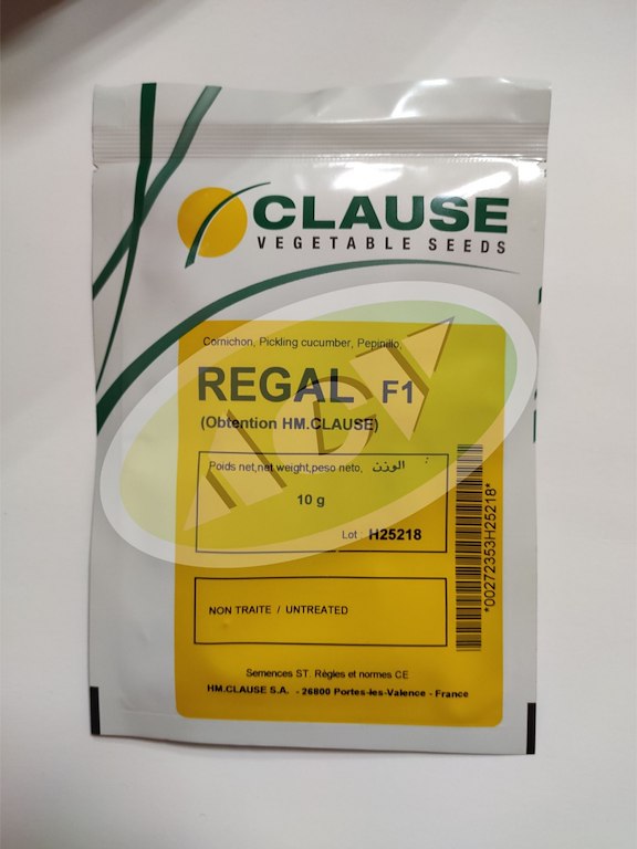 REGAL KORNISON 10 GR