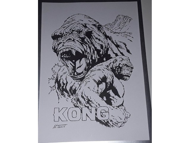 Crtez na hamer papiru 30 x 21,5 cm. - Kong