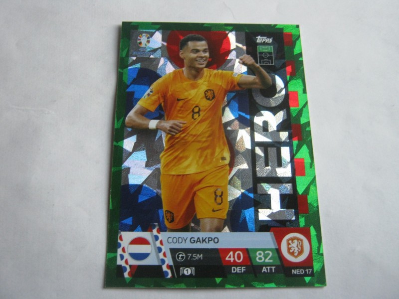 EURO 2024 ZELENA PARALELA : NED 17 CODY GAKPO