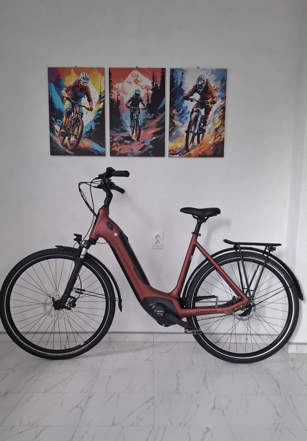 Winora triaN8 eco
