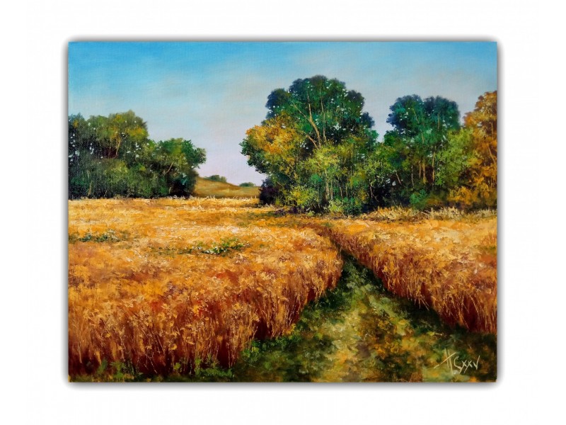 ulje na platnu 50x40cm