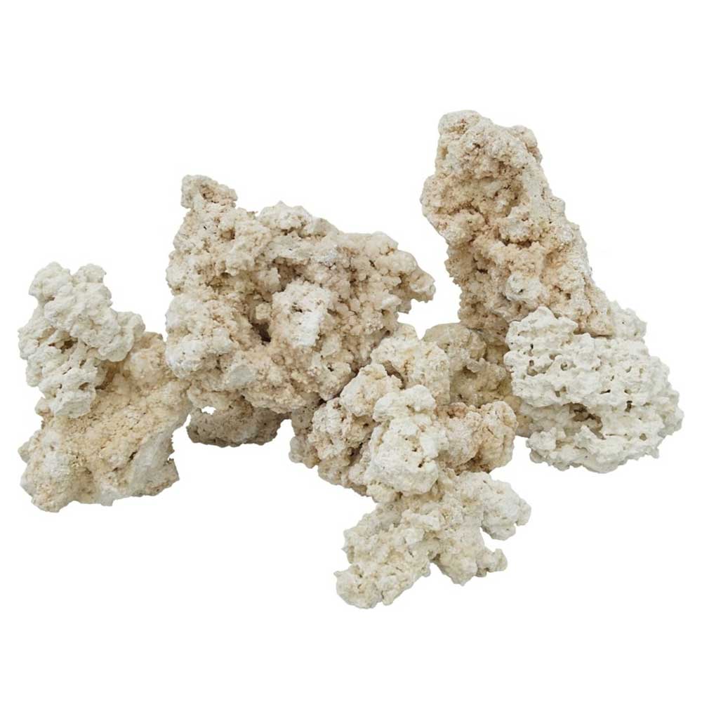 Natural reef rock