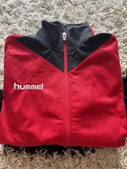 Hummel duks