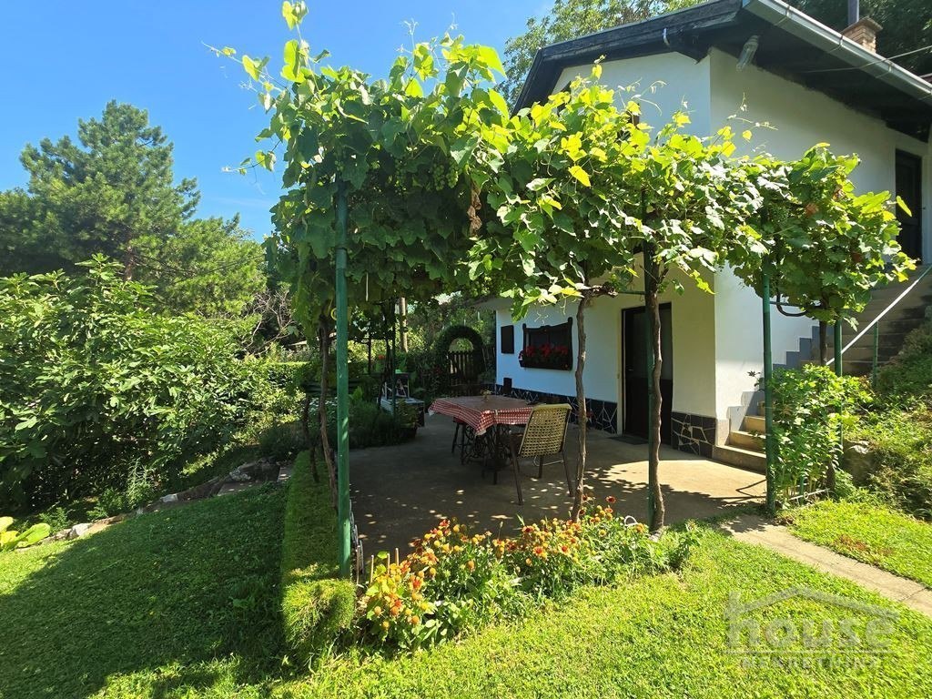 ID 3046496, Novi Sad, SREMSKA KAMENICA