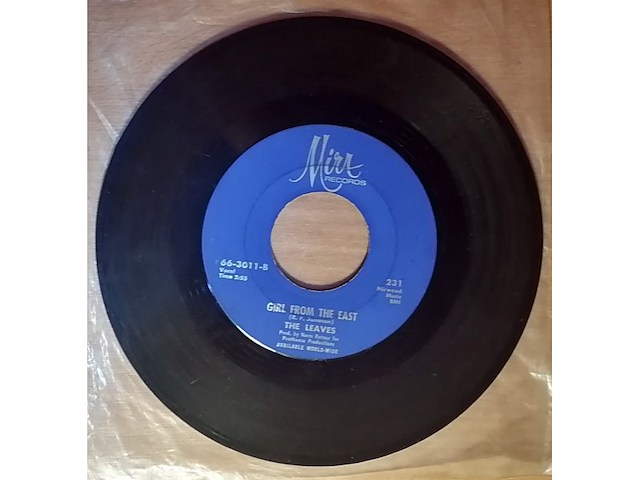 SP LEAVES, the - Get Out Of My Life (1966) USA, retko