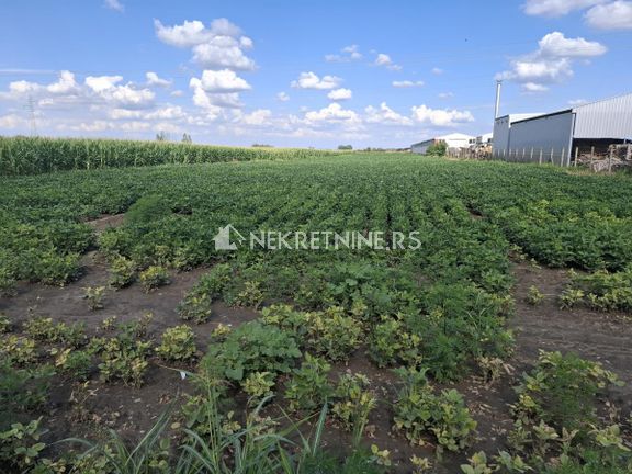 Plac 9.444m Futog Industrijska zona