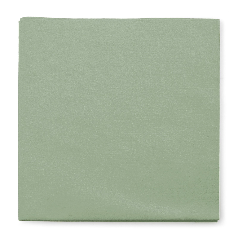 EVERLY zelena krpa (40 x 40), 5kom
