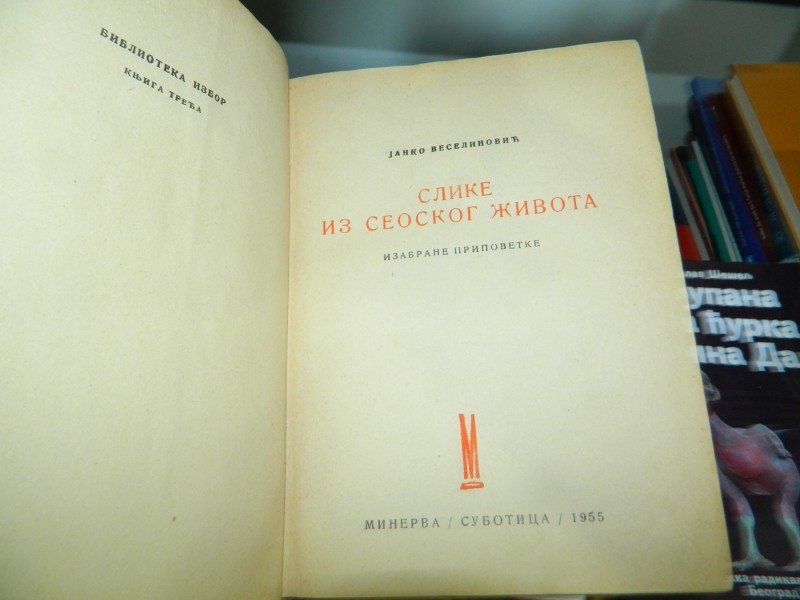 Slike iz seoskog života, Janko Veselinović