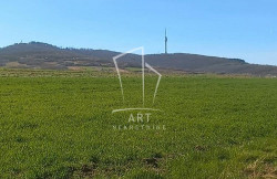 Plac Zuce 10ari ID#512411