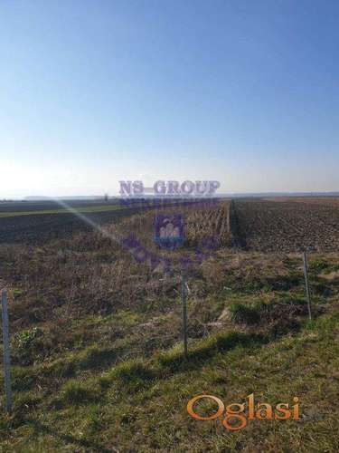 Odličan!